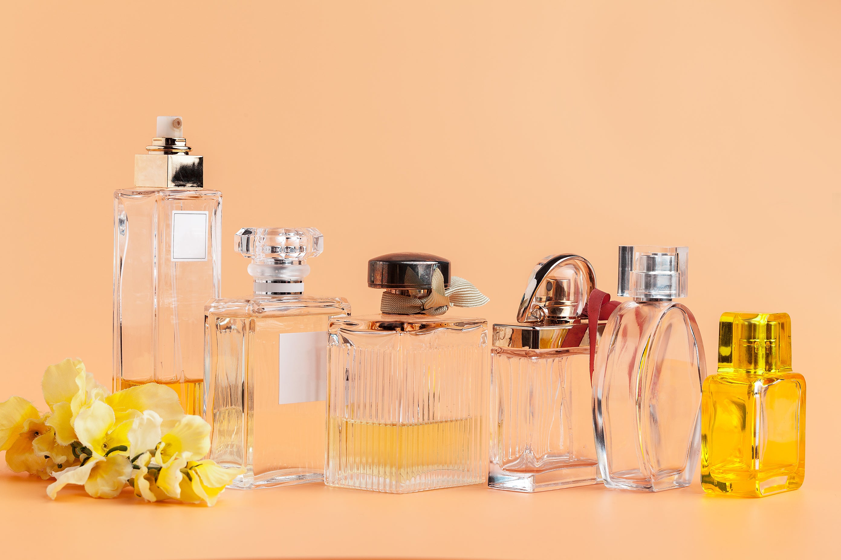 Discover Top Perfumes for Women & Chokore